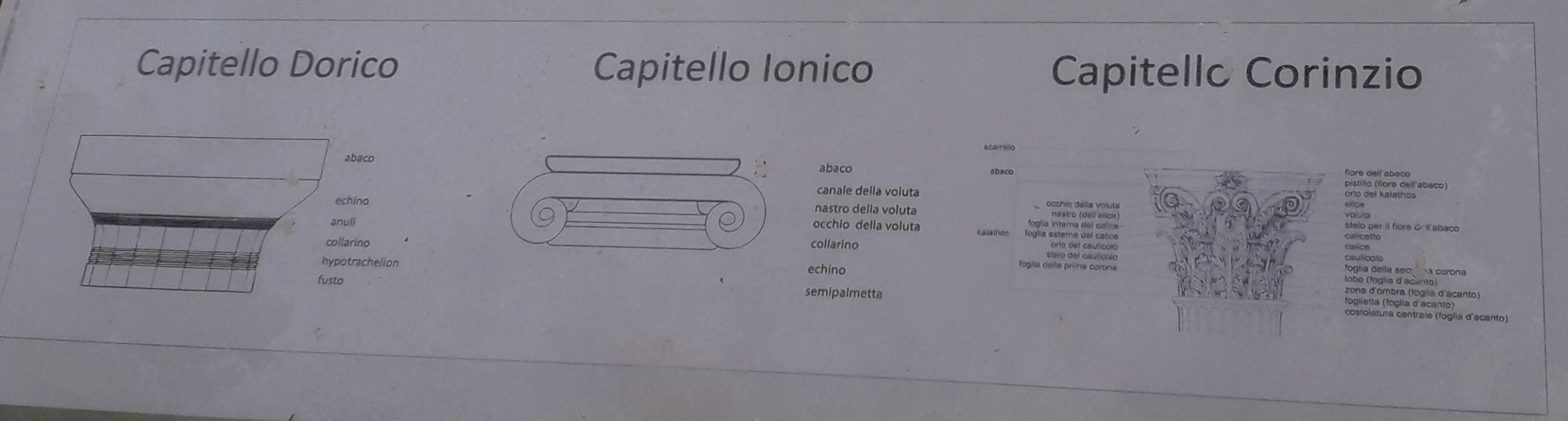 I tipi di capitelli - Blog didattico